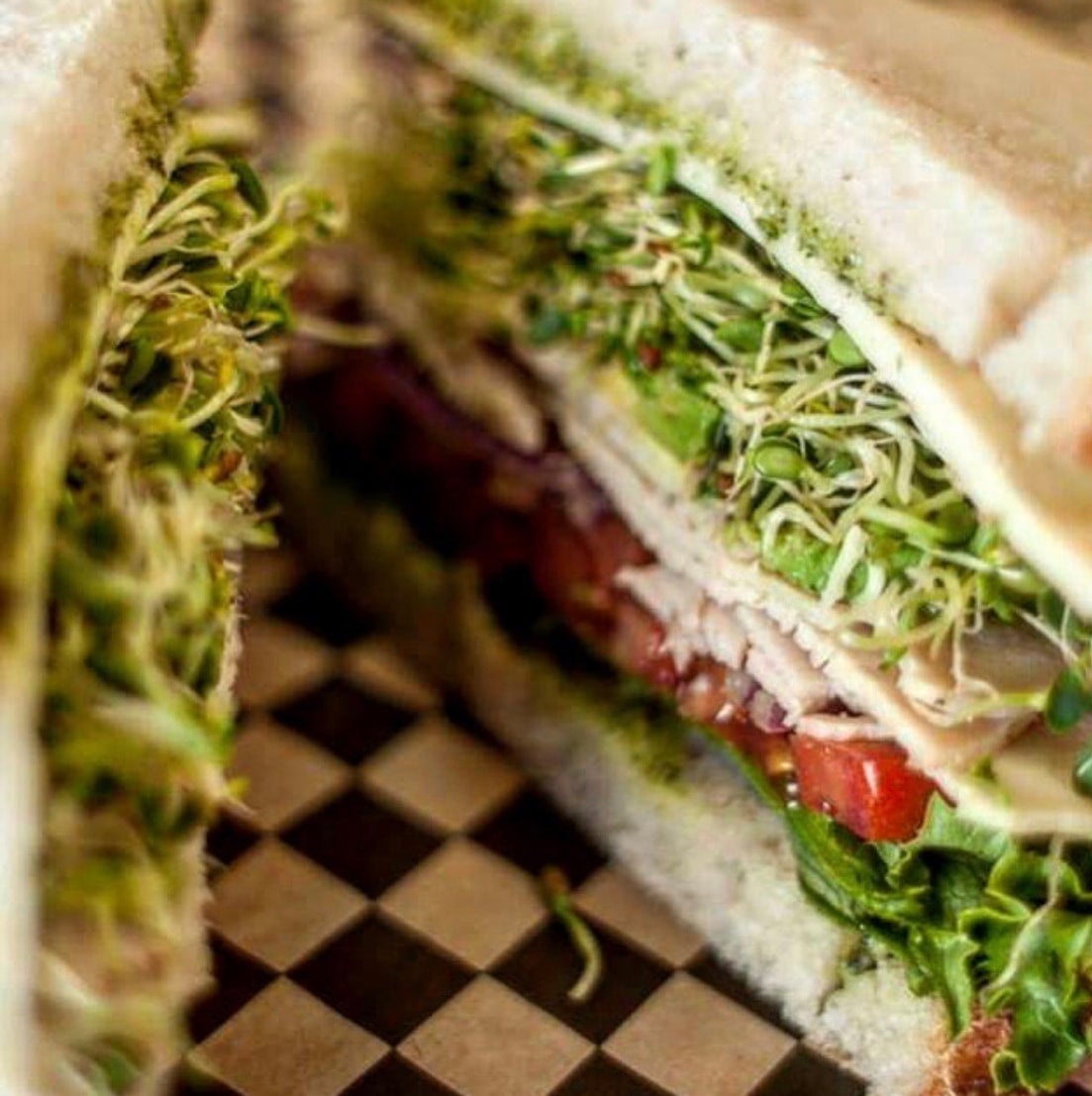 The Turkey Pesto | Dilly Deli